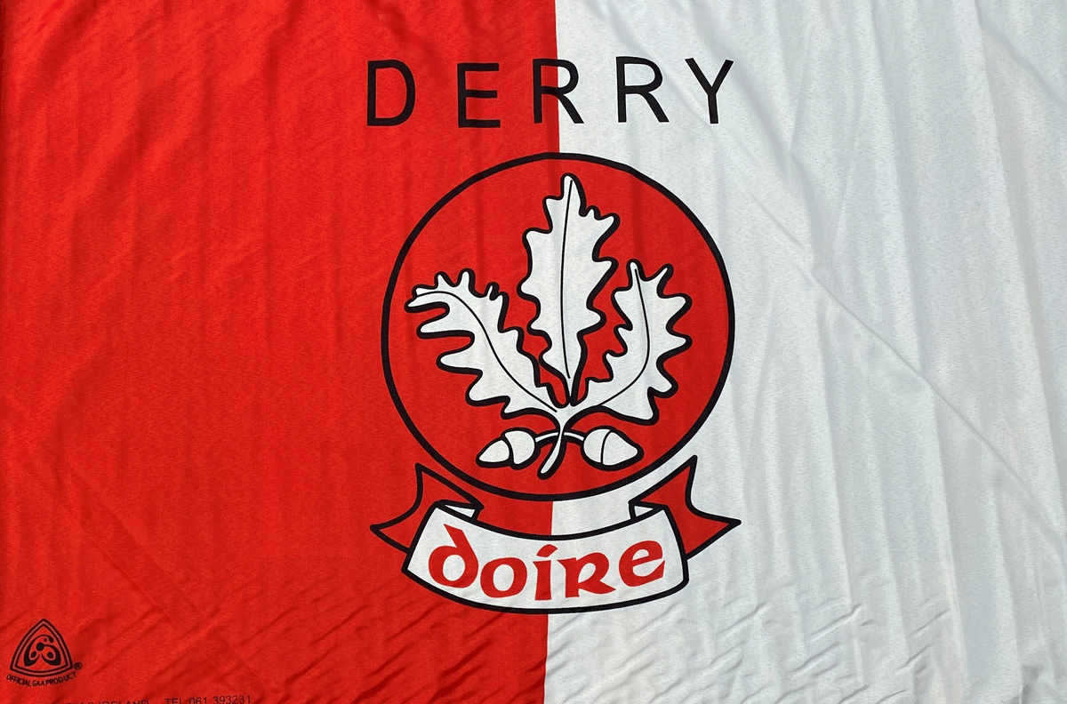 Mc Keever Sports Derry County GAA Flags – McKeever Sports IE